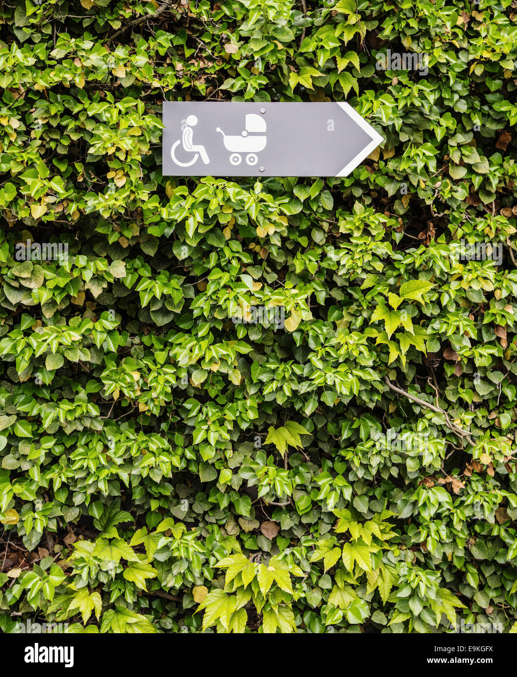 Directional arrow with handicapped and baby stroller sign on nature ...