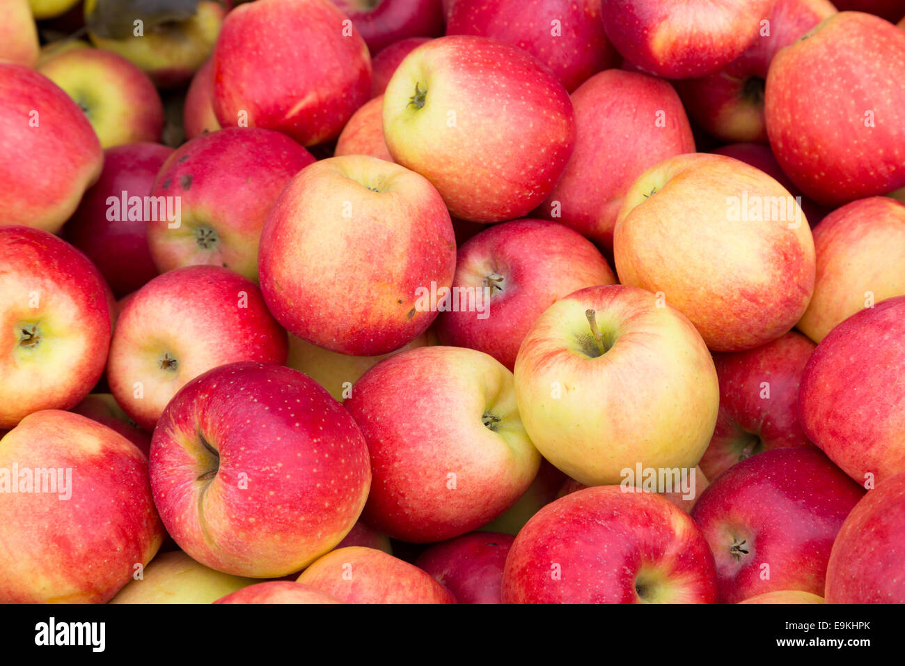Red apple closeup hi-res stock photography and images - Alamy