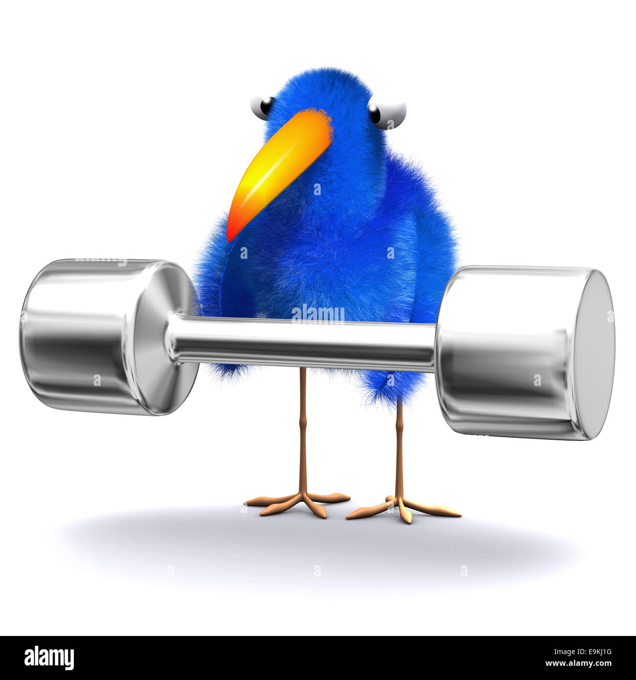 3d render of a blue bird lifting weights Stock Photo - Alamy