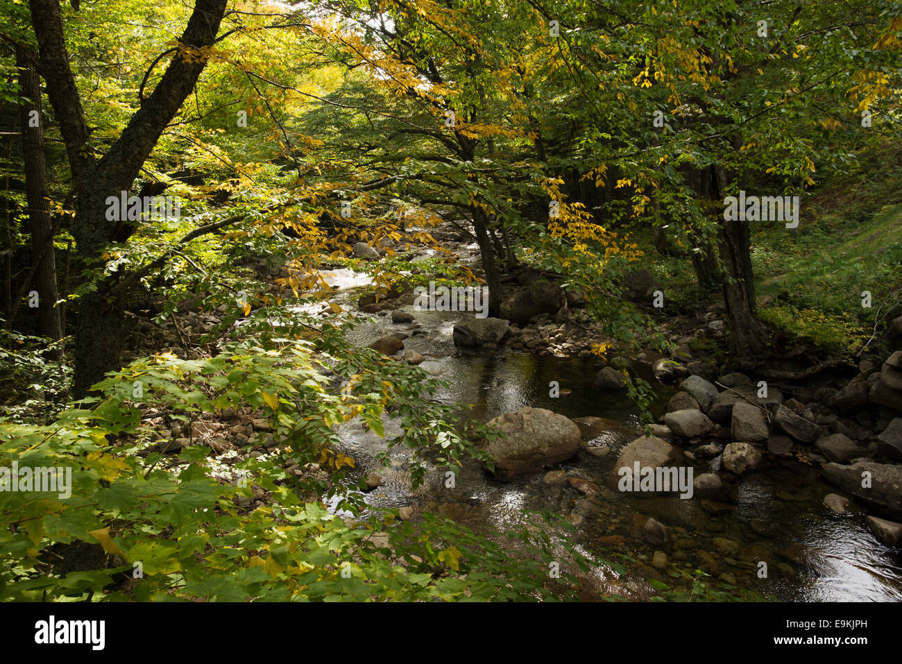 Scenic view of Pemigewasset River The Flume Gorge Franconia Notch State ...