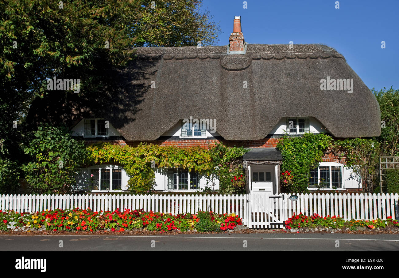 Cottage in Crawley, Hampshire, England Stock Photo - Alamy