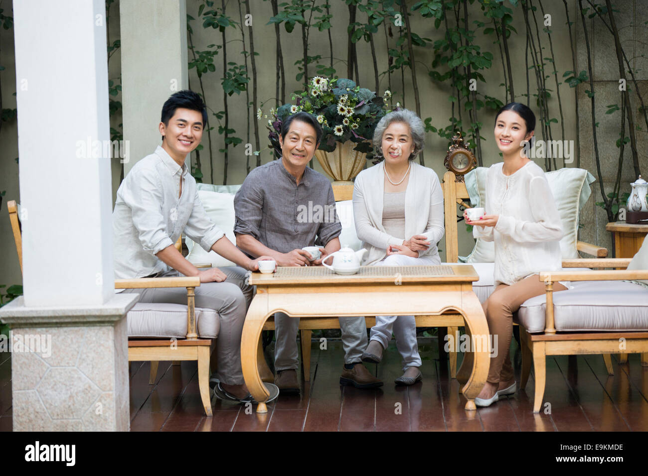Tea family plant hi-res stock photography and images - Alamy