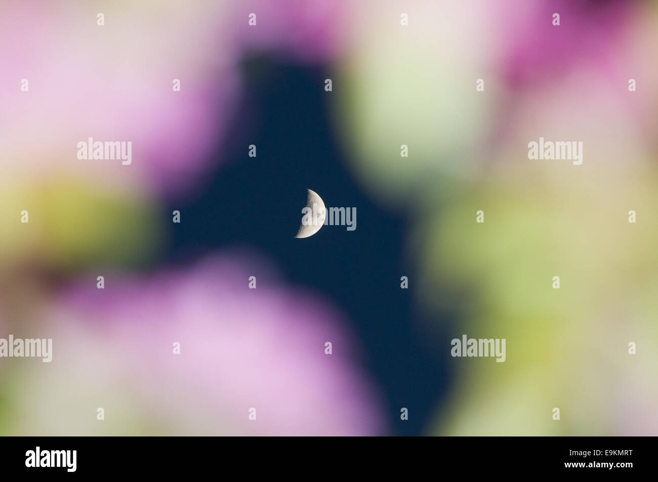 Half moon rock hi-res stock photography and images - Alamy