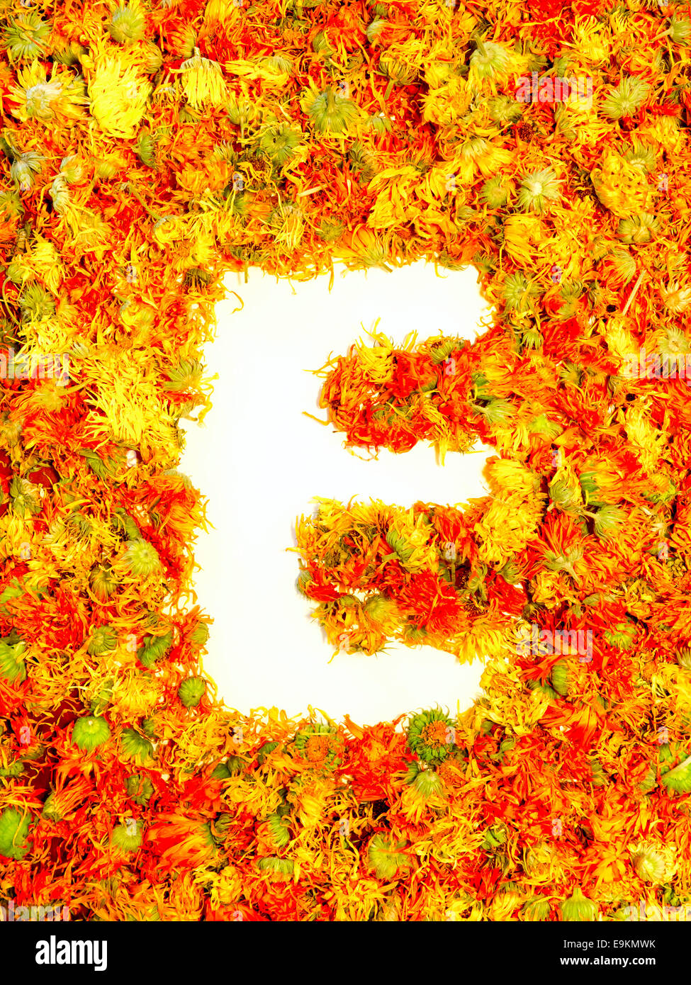 Initials letter E Stock Photo - Alamy