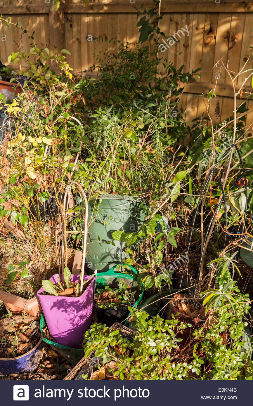 Untidy Garden Stock Photos & Untidy Garden Stock Images - Alamy