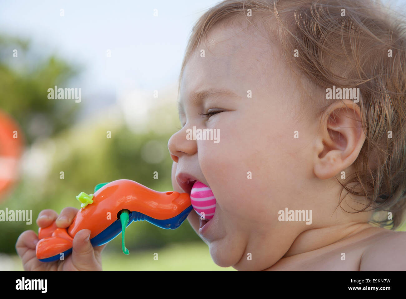 portrait of cute one year baby biting plastic toy Stock Photo - Alamy
