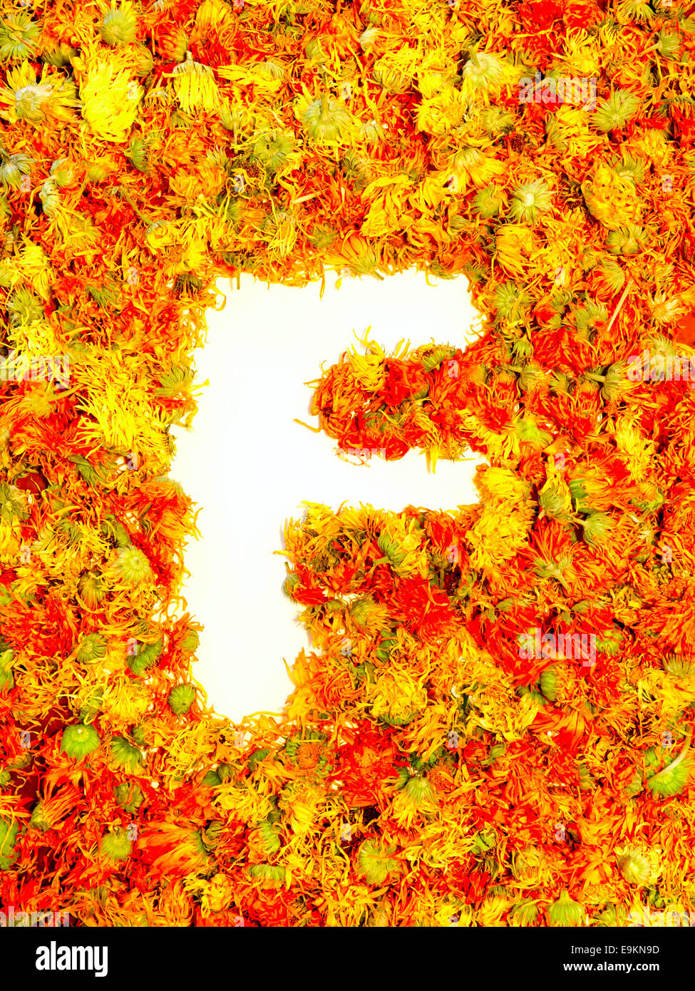 Initials letter F Stock Photo - Alamy