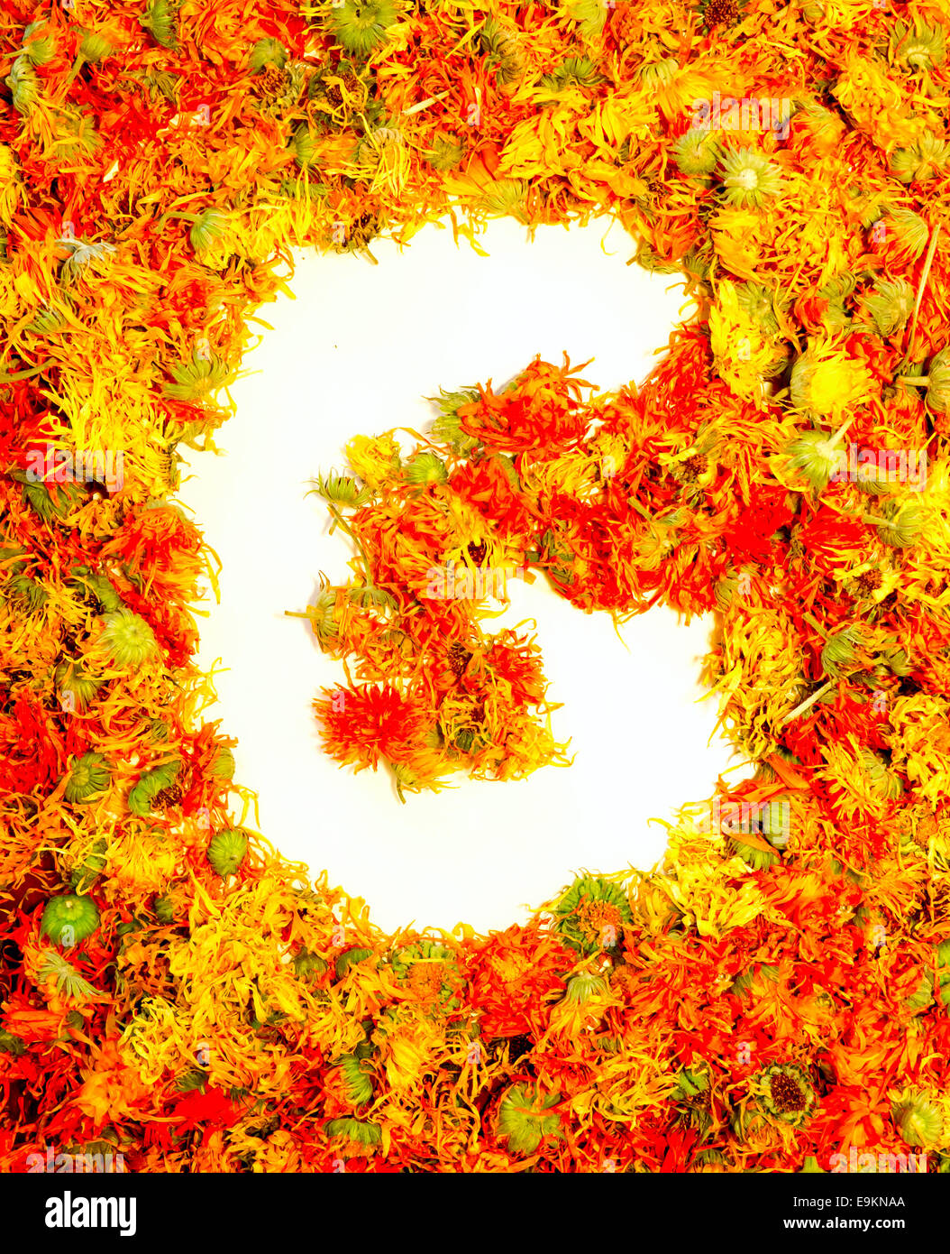 Initials letter G Stock Photo - Alamy