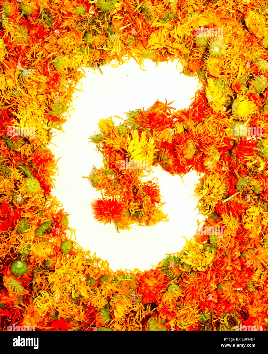 Initials letter G Stock Photo - Alamy