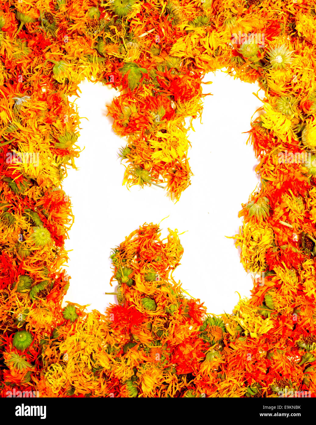 Initials letter H Stock Photo - Alamy