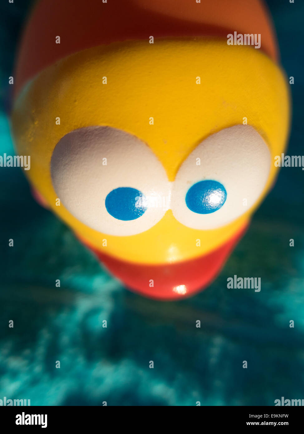 Dummy fish hi-res stock photography and images - Alamy