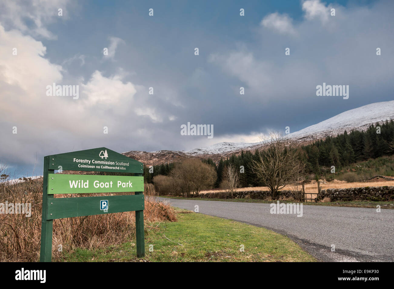 Wild Goat Park in the Galloway Forest Park in Dumfries and Galloway ...