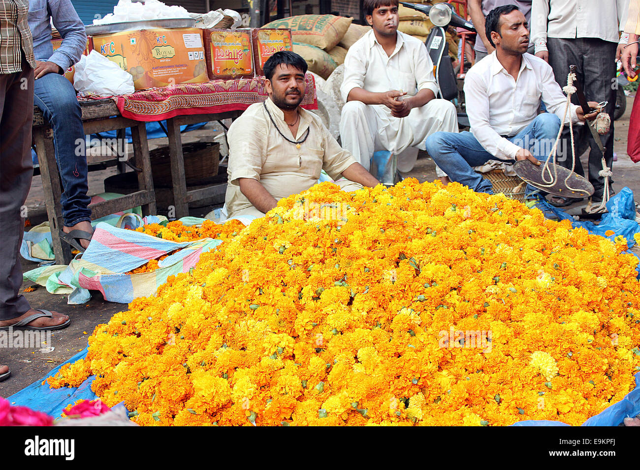bengal, bloom, blossom, blossoms, calcutta, colorful, colourful ...
