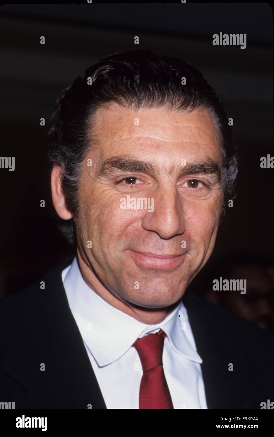 MICHAEL RICHARDS.NBC press tour 1994.l7338lr. © Lisa Rose/Globe Photos ...