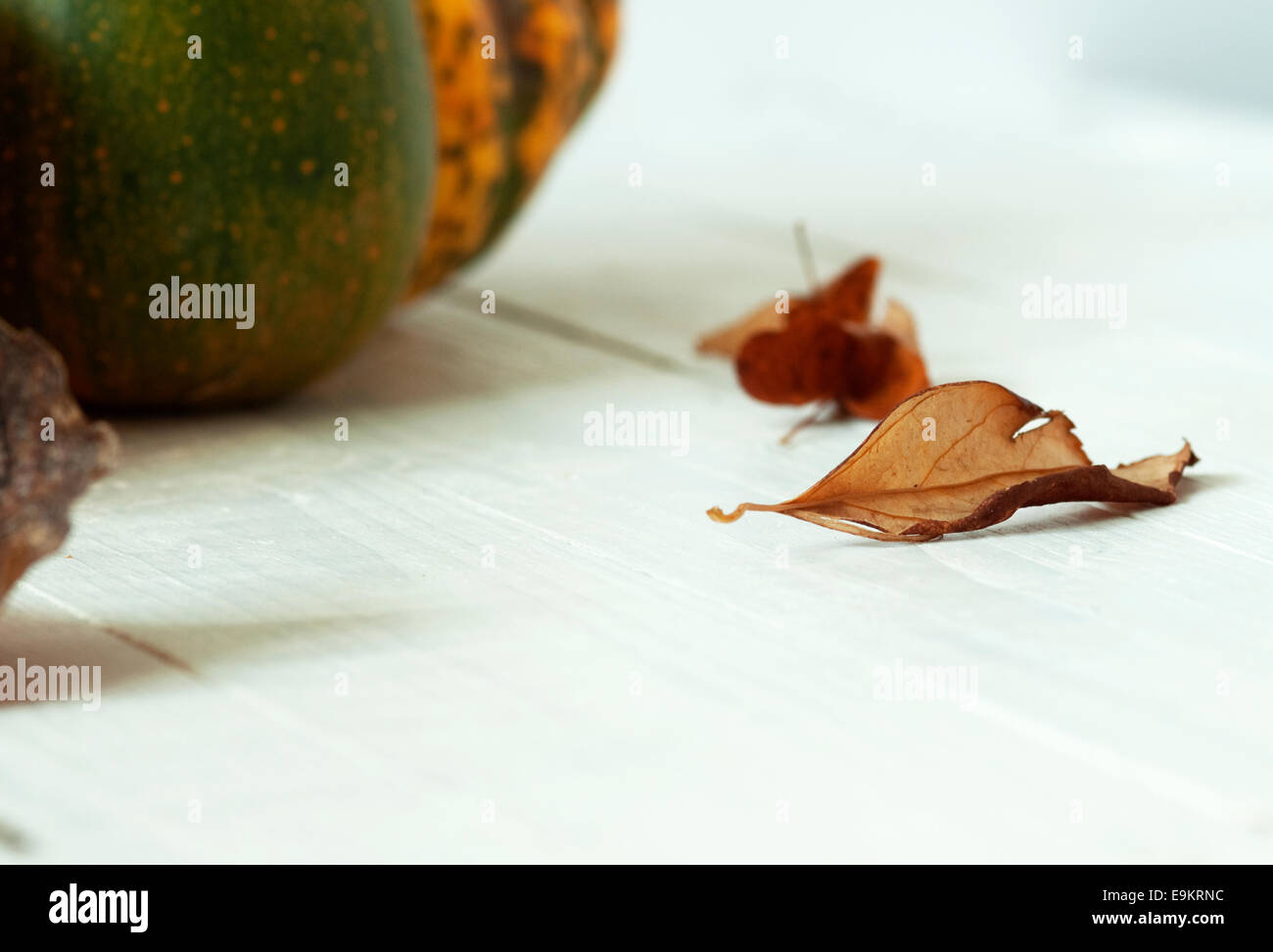 Still life image of Squash vegetables in abstract with two fallen ...