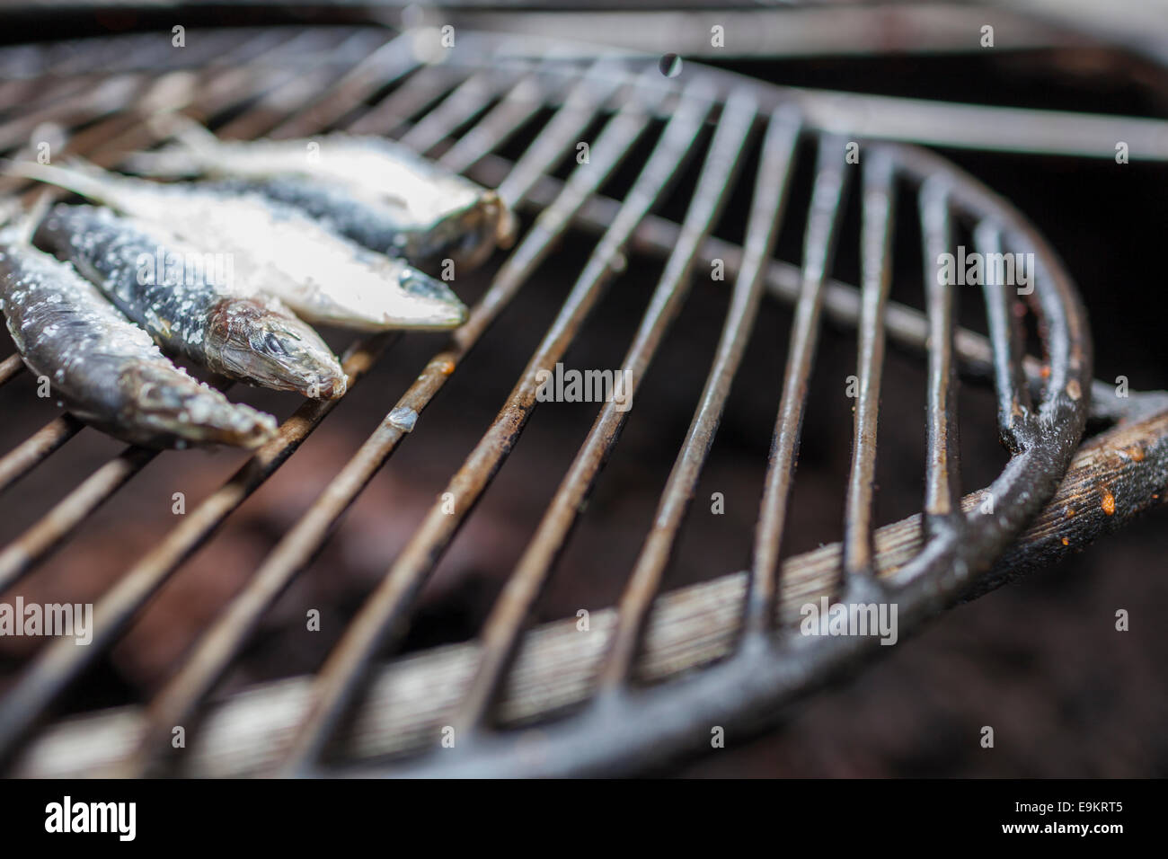 Food being cooked over volcano in Timanfaya National Park, Lanzarote ...