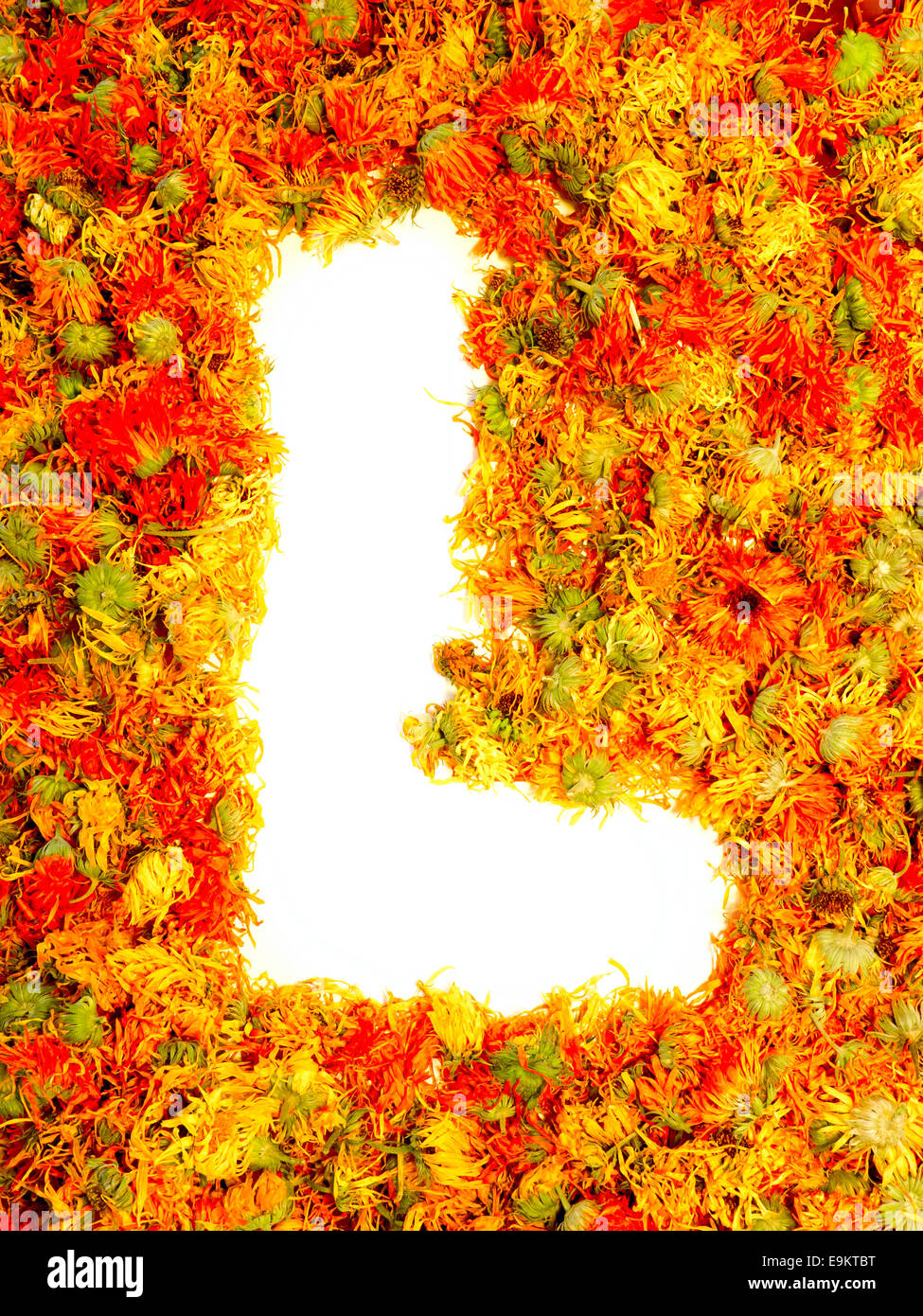 Initials letter L Stock Photo - Alamy