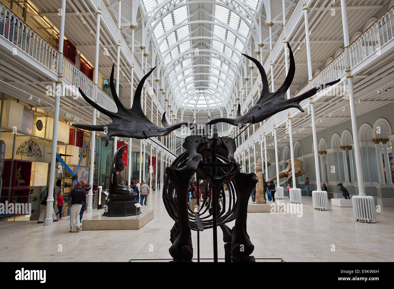 The National Museum of Scotland, Edinburgh, Scotland Stock Photo - Alamy
