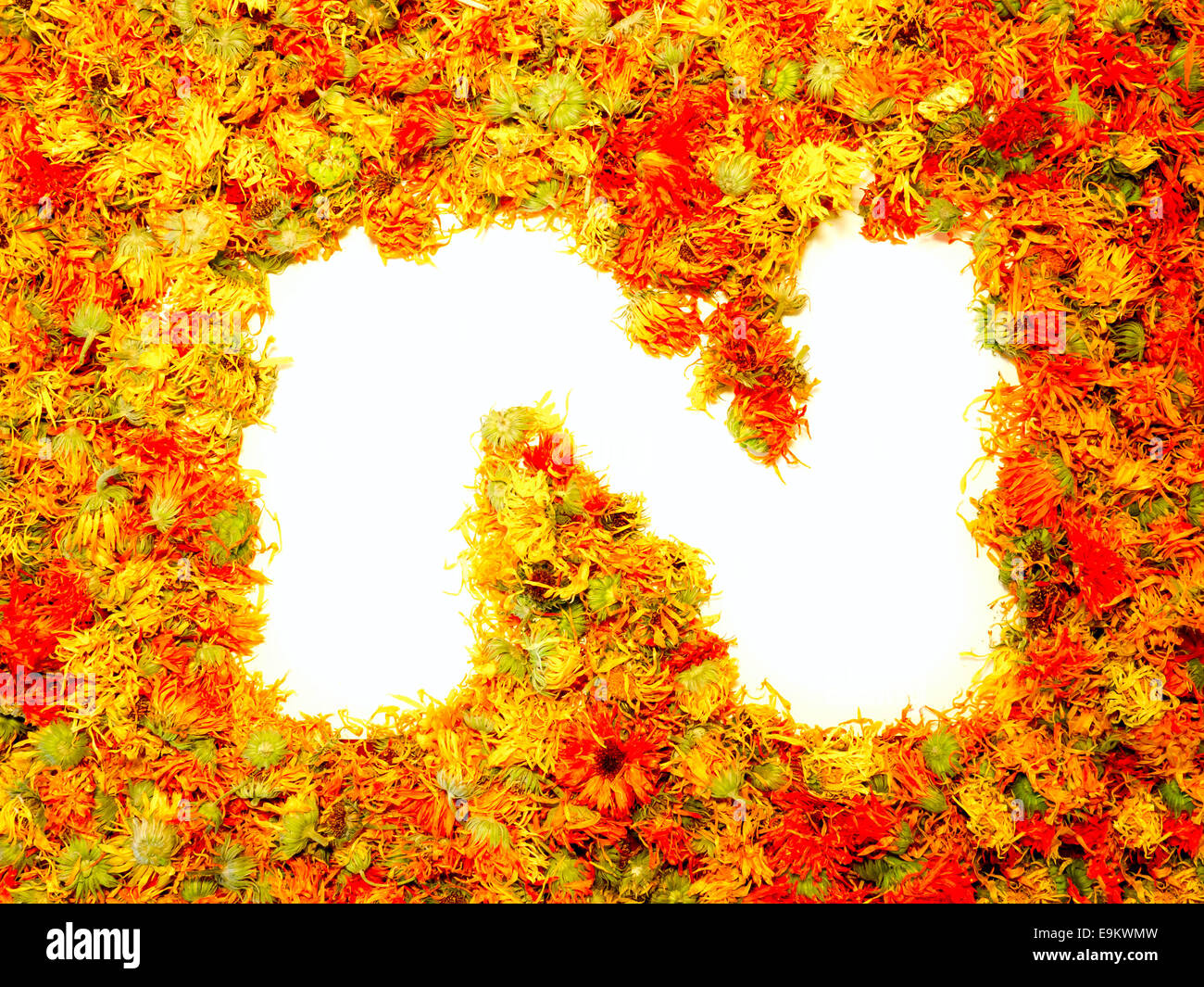 Initials letter N Stock Photo - Alamy