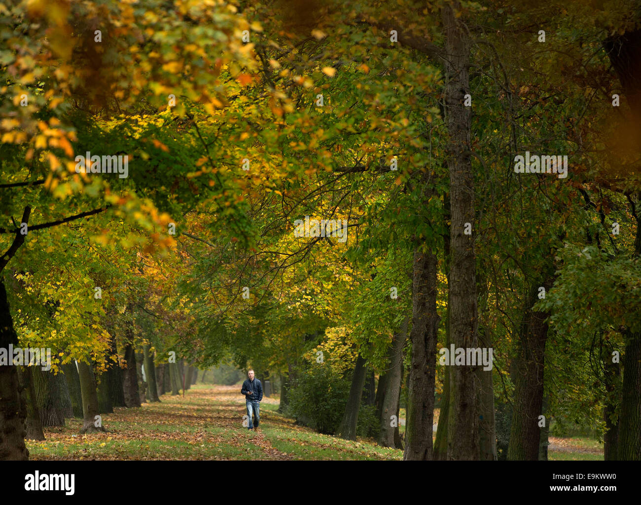 Autumn colors in Prague's park Stromovka, Prague, Czech Republic ...