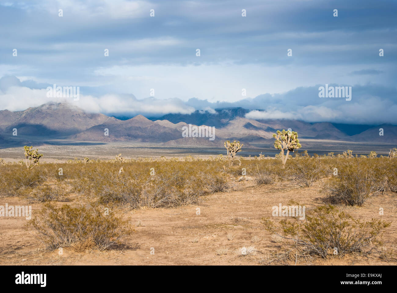 Arizona desert snow hi-res stock photography and images - Alamy