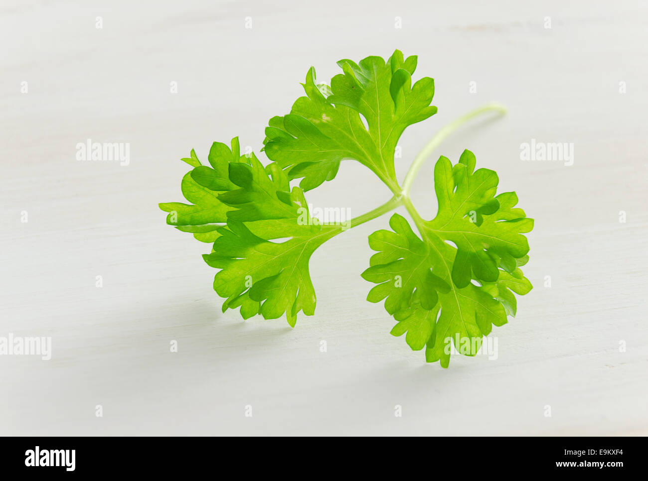 Curly parsley hi-res stock photography and images - Alamy