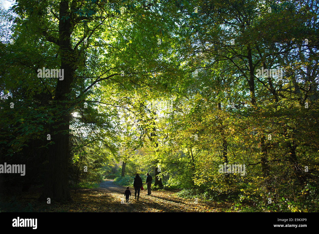 Banstead woods hi-res stock photography and images - Alamy
