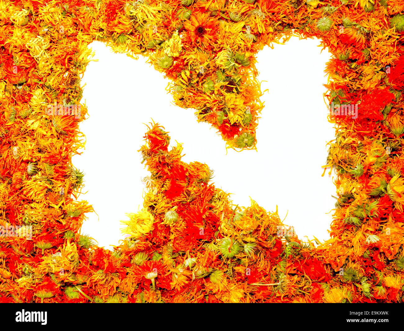 Initials letter N Stock Photo - Alamy