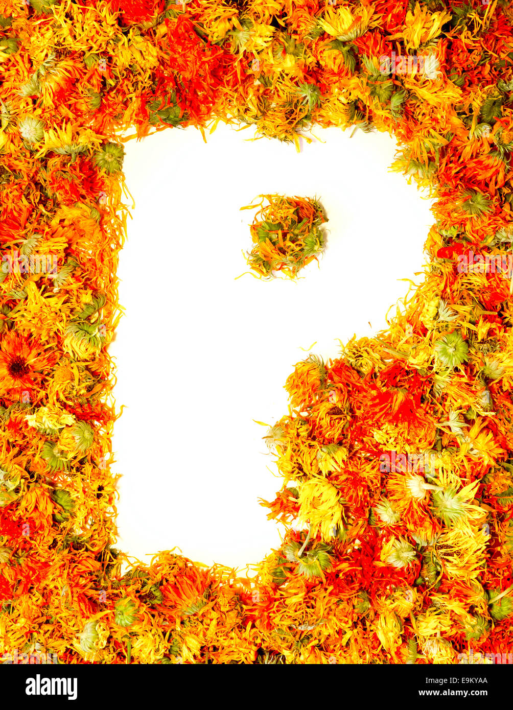 Initials letter P Stock Photo - Alamy
