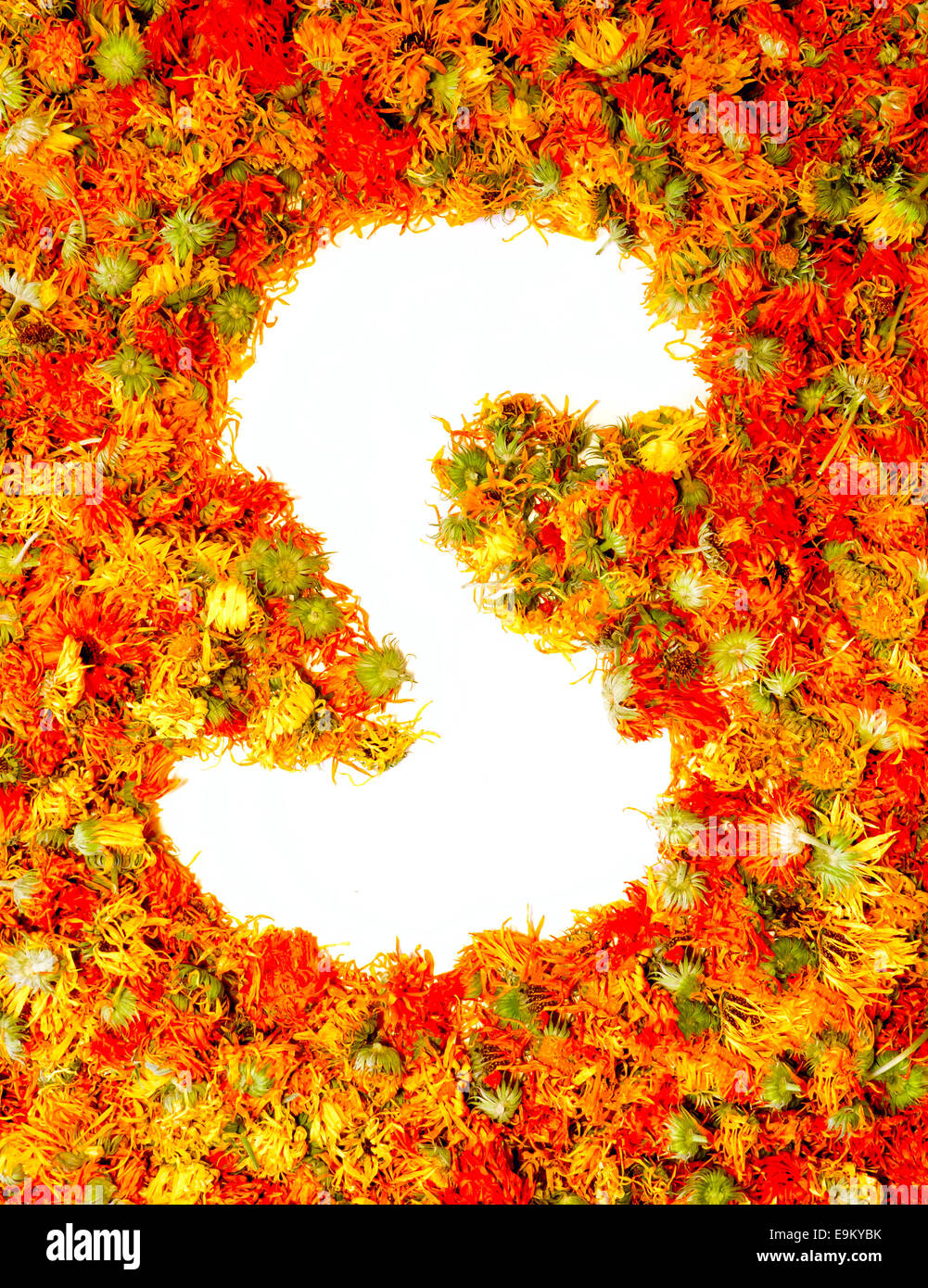 Initials letter S Stock Photo - Alamy