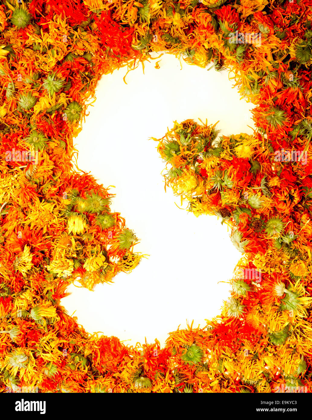 Initials letter S Stock Photo - Alamy