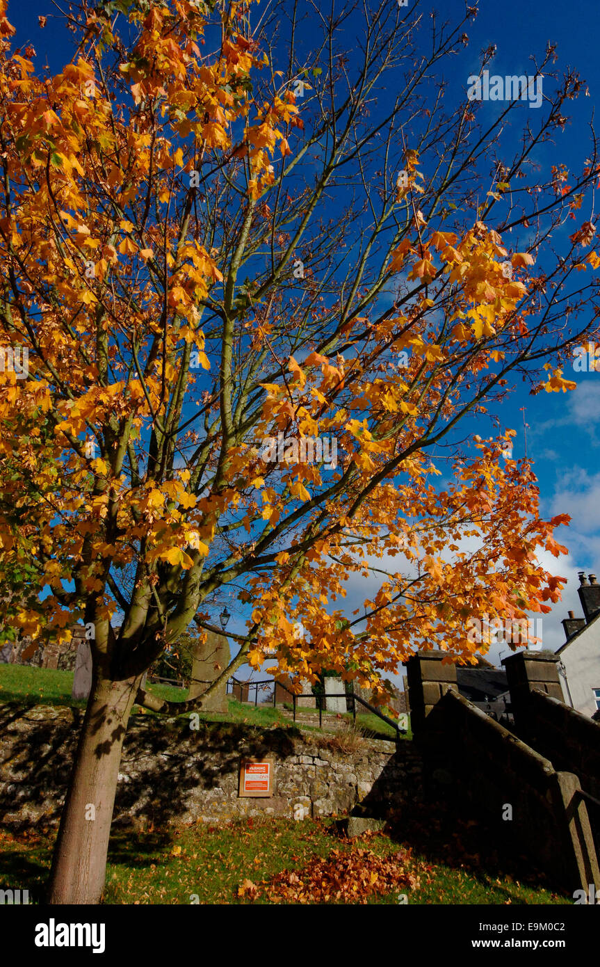 Fall churchyard hi-res stock photography and images - Alamy