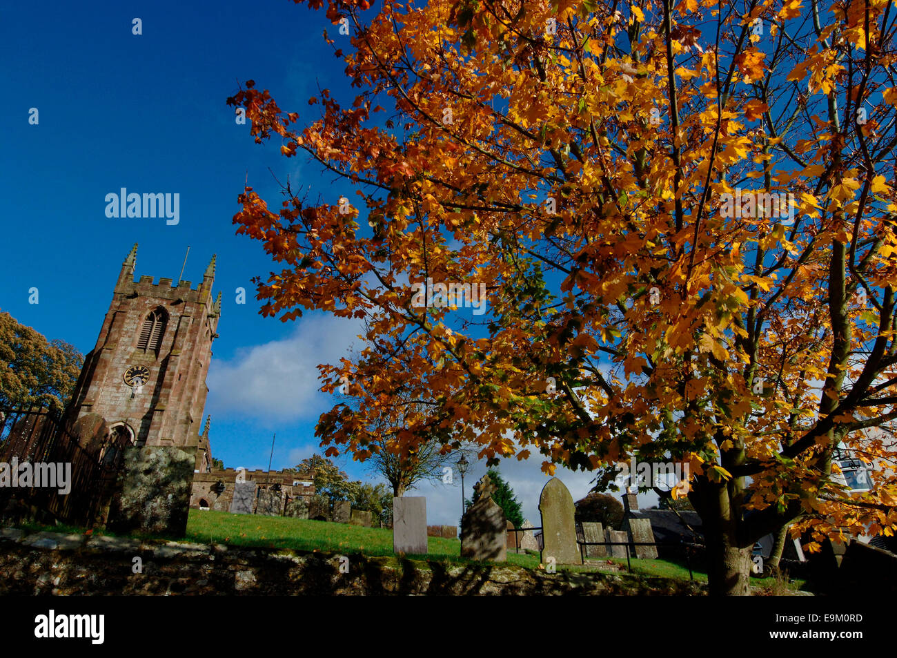 An Autumn Colored Tree,A Churchyard & Church,In The Village Of ...