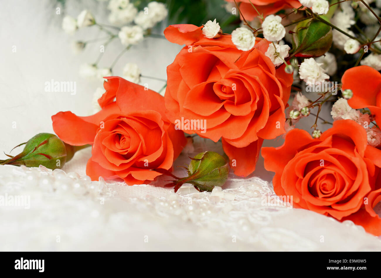 Orange roses on white wedding lace Stock Photo - Alamy