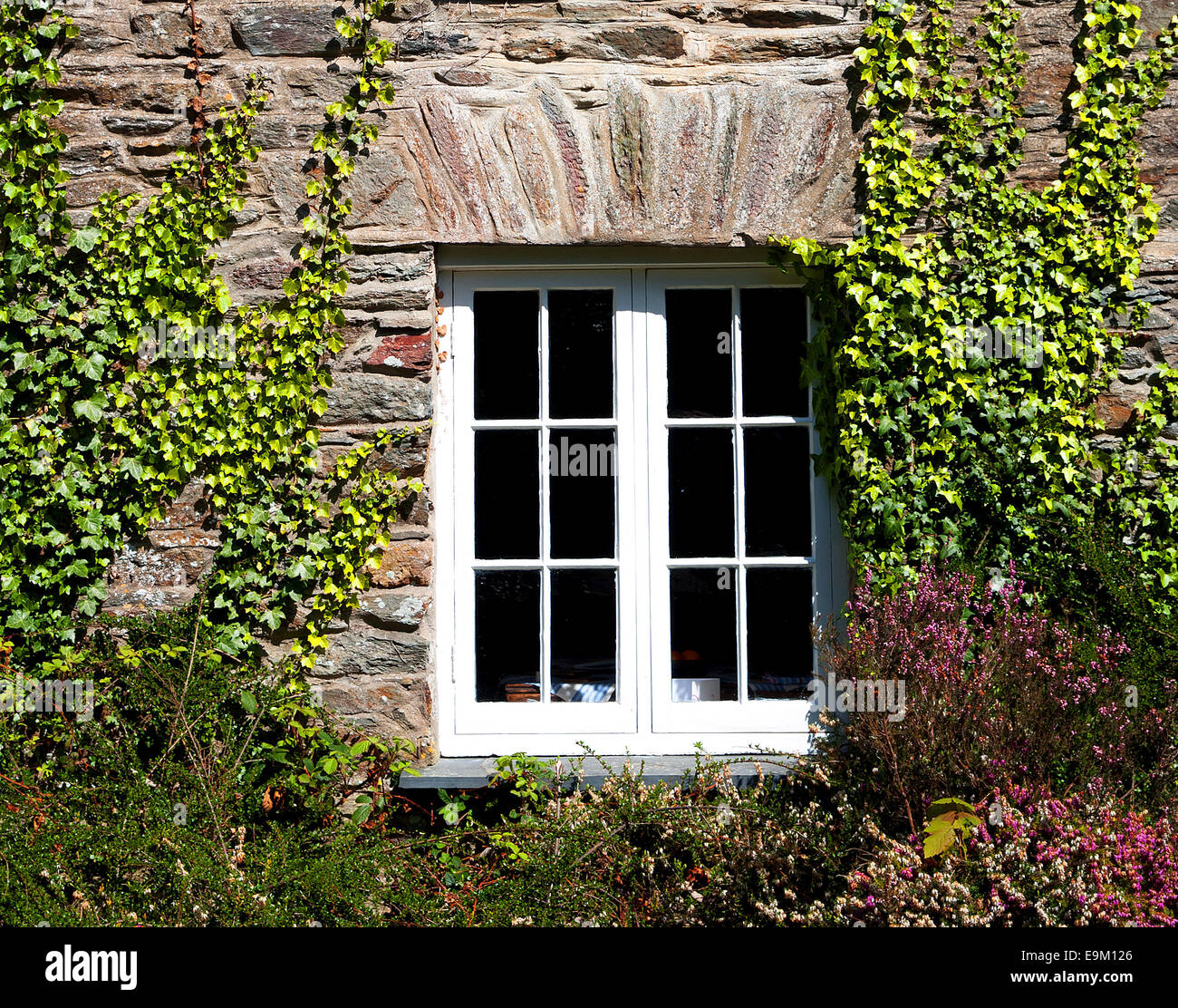 Ivy covered cottage hi-res stock photography and images - Alamy