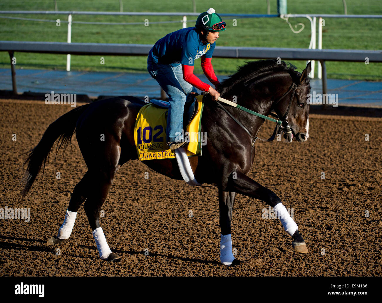Cigar race horse hi-res stock photography and images - Alamy