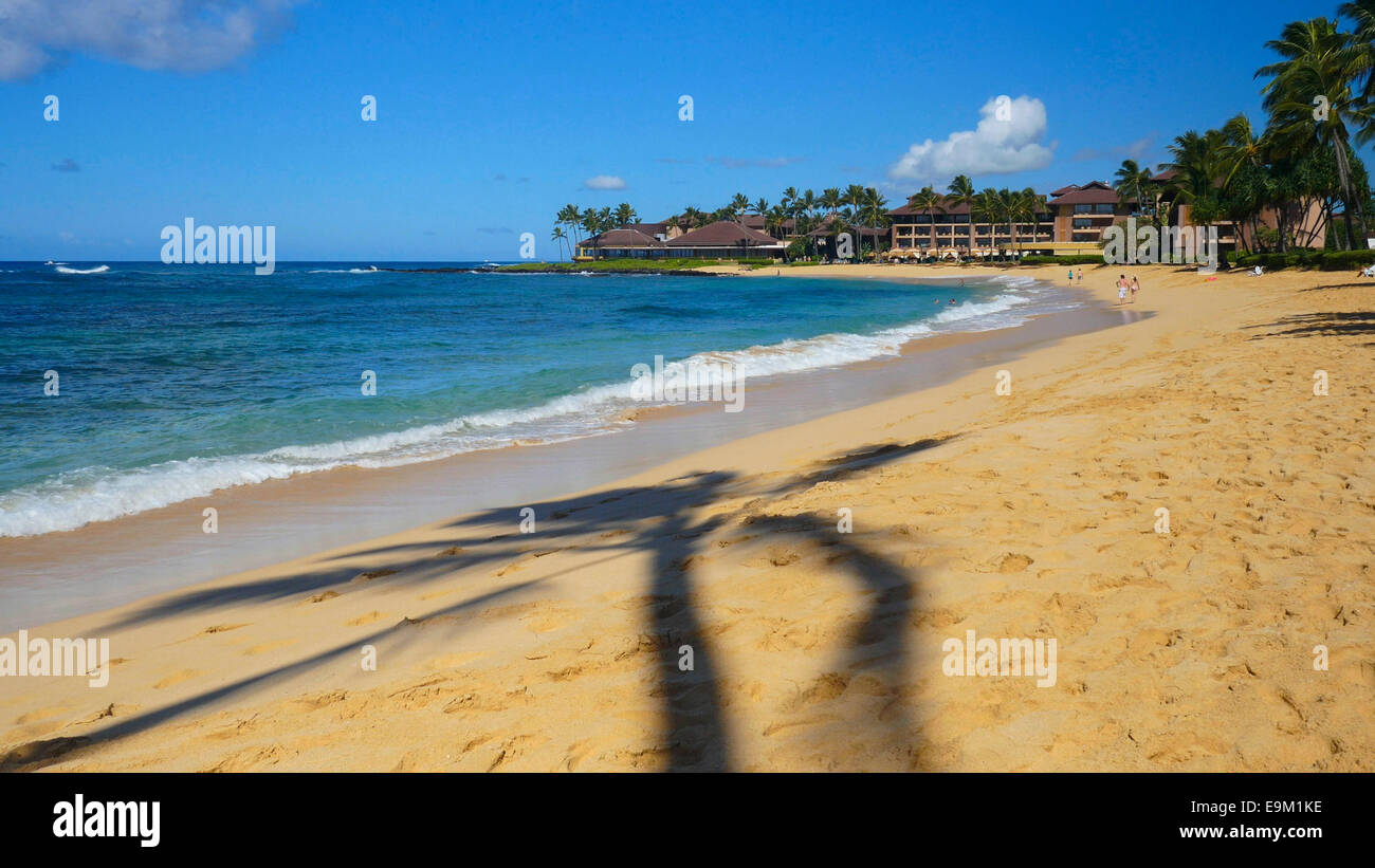 Hawaii 4k hi-res stock photography and images - Alamy