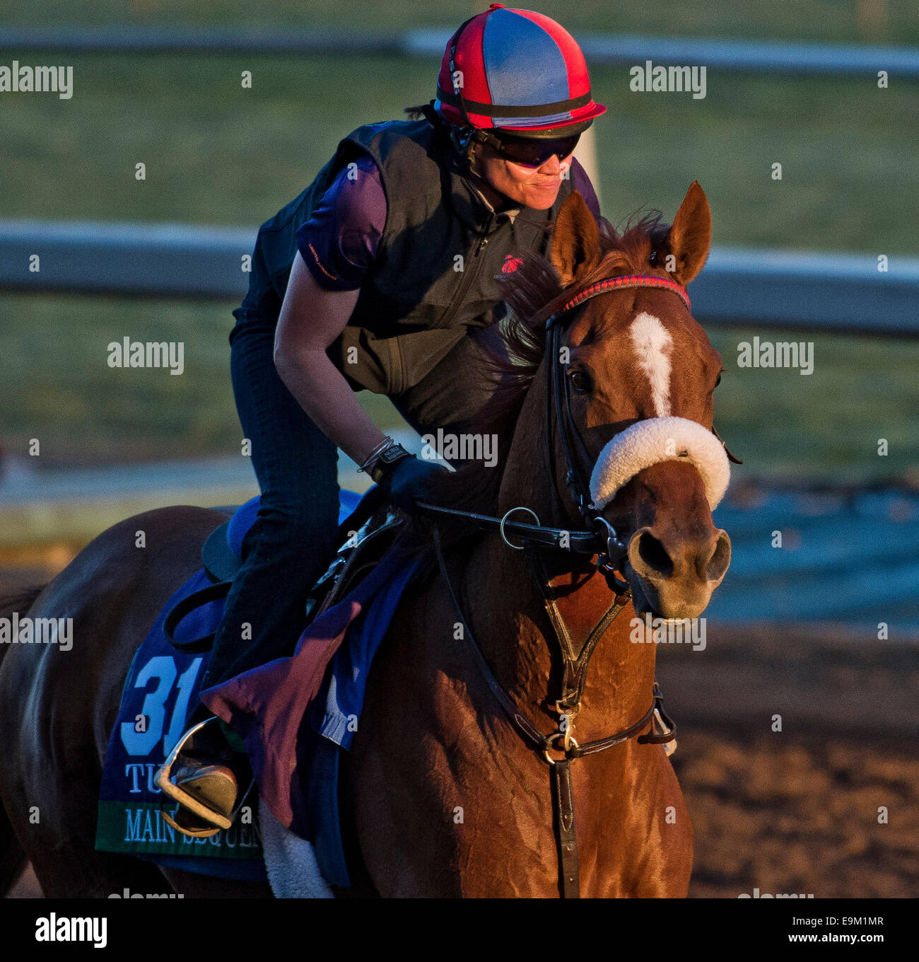 Horse motion sequence hi-res stock photography and images - Alamy