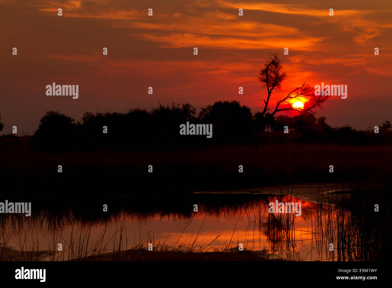 Big african sunset hi-res stock photography and images - Alamy