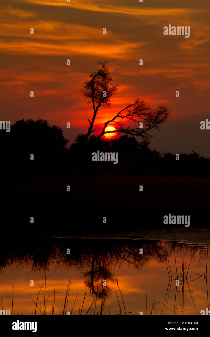 Typical african sunset hi-res stock photography and images - Alamy