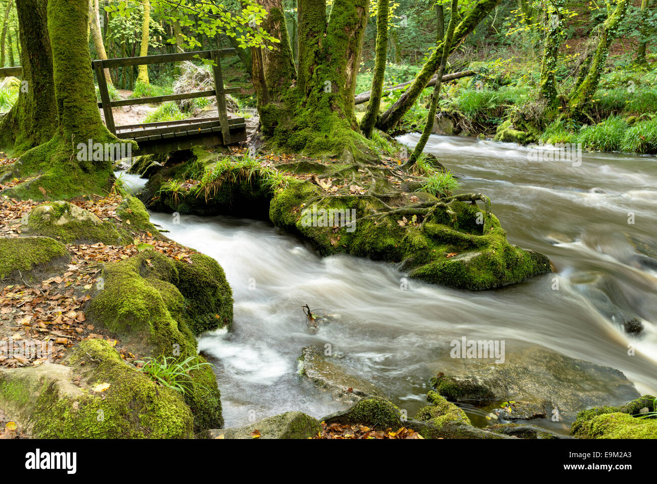 Fowey valley hi-res stock photography and images - Alamy