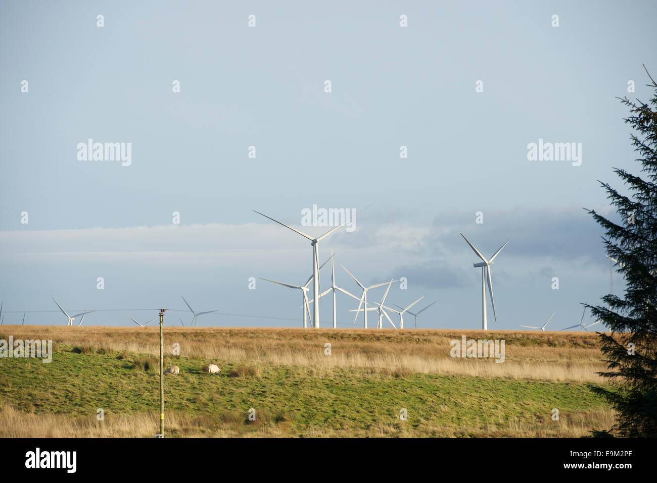 Wind turbine power lines scotland hi-res stock photography and images ...
