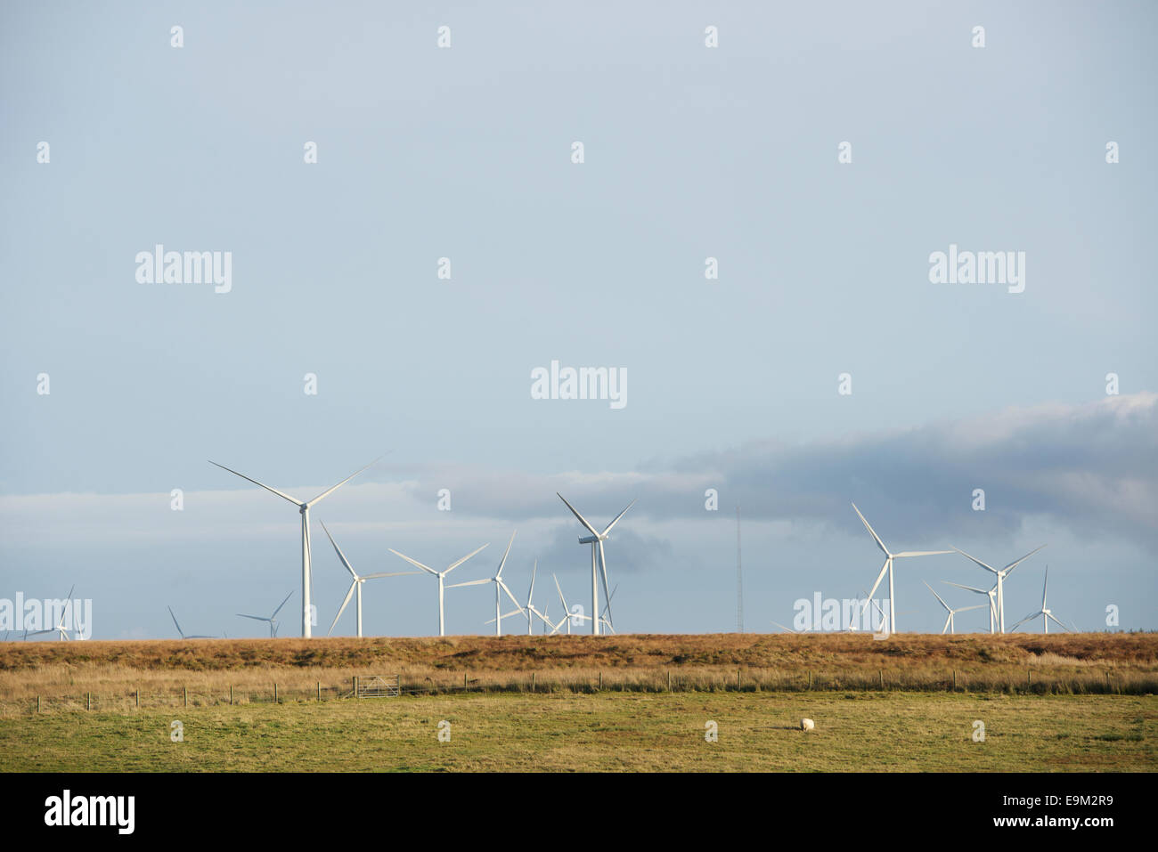 Wind Turbines from Whitelee Windfarm seen from Fenwick Moor Stock Photo ...