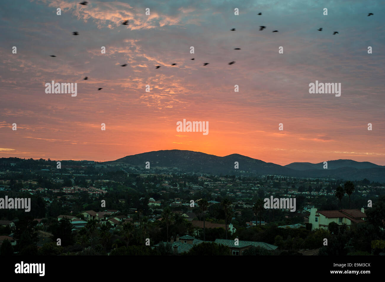 Rancho bernardo hi-res stock photography and images - Alamy