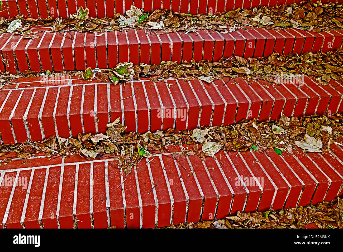 Ornamental red brick stairs covered with dead leaves fall Stock Photo ...