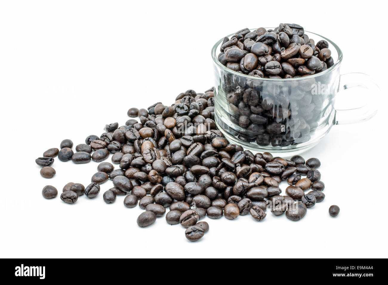 seed coffee in White background Stock Photo - Alamy