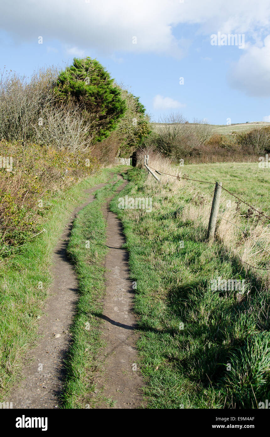 St catherine point hi-res stock photography and images - Alamy