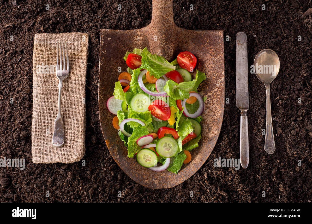 Organic farm to table healthy eating concept on soil background Stock ...