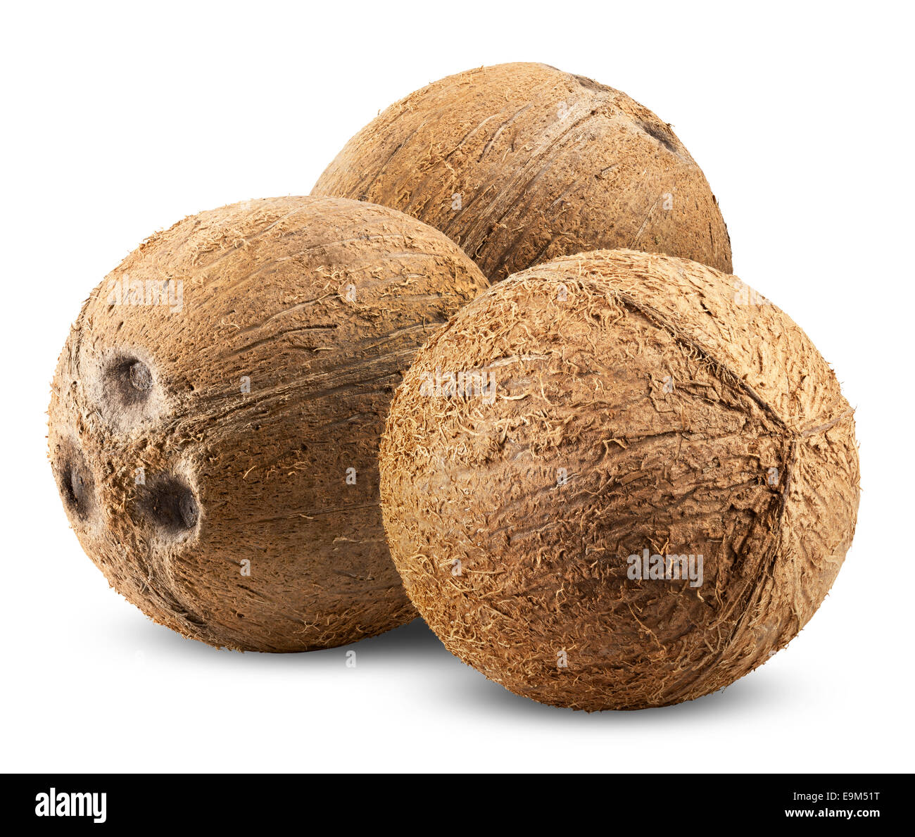 three ripe coconut isolated on white background Stock Photo - Alamy