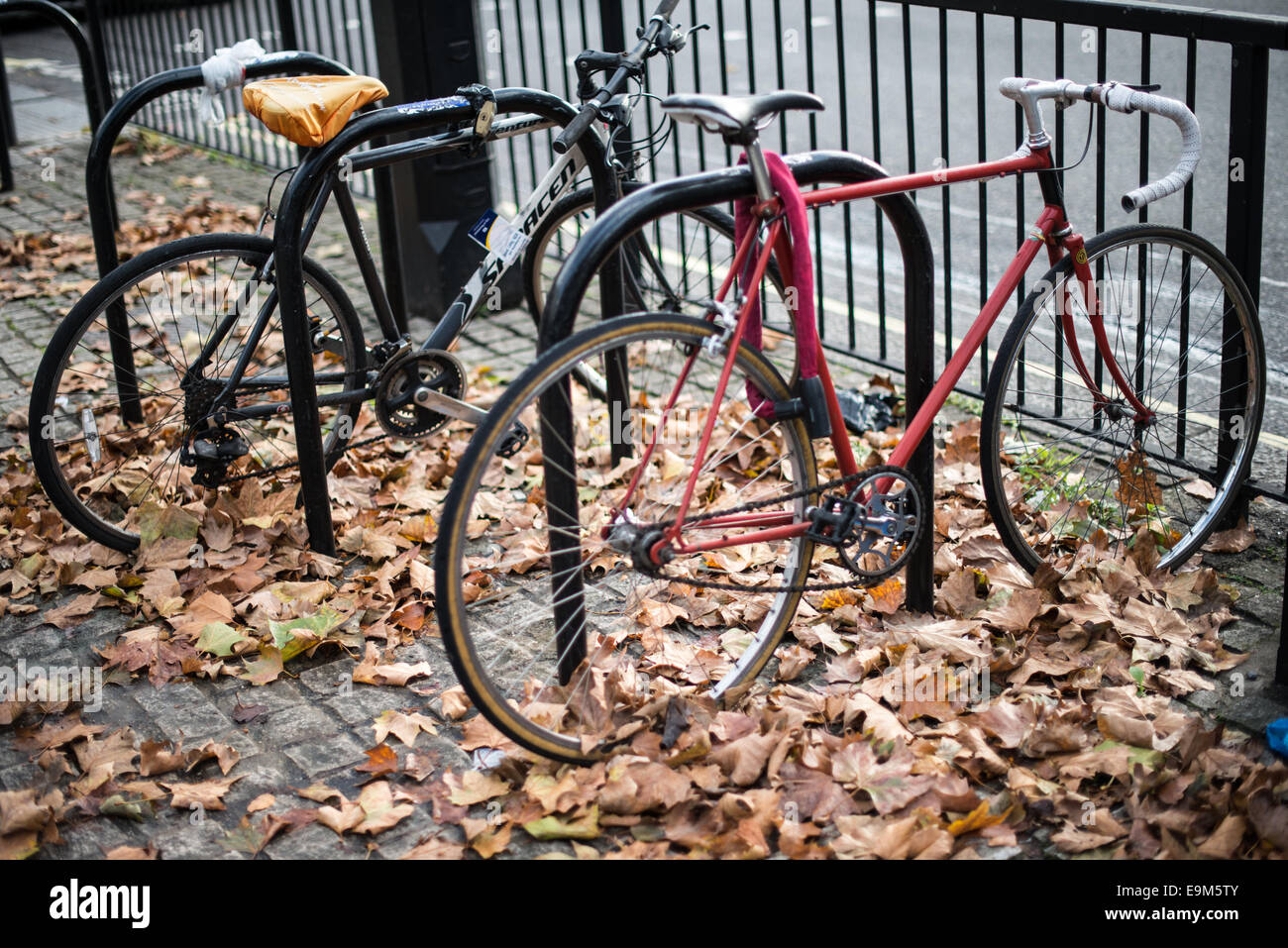 Bicycles Bike Rack Autumn Leaves London // Bicycles chained to a bike ...
